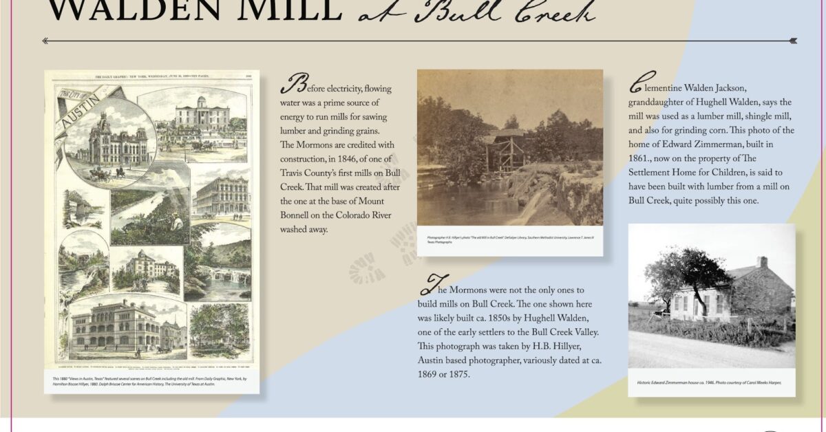 Caroline Thurm Bull Creek Presentation – Real Market